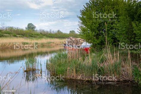 크레인에 의해 선박에서 목재 통나무를 하역 자연의 파괴 강에 대한 스톡 사진 및 기타 이미지 강 건설 기계류 기후 묘사 Istock
