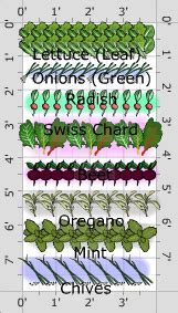 Garden Plan 2013 Terrace Park Garden Plan 2013 Terrace Park