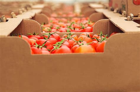 Suben Un 83 Las Exportaciones Agroalimentarias Y Pesqueras De España