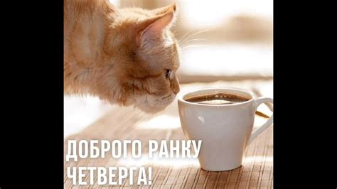 ДОБРОГО РАНКУ ЧЕТВЕРГА Youtube