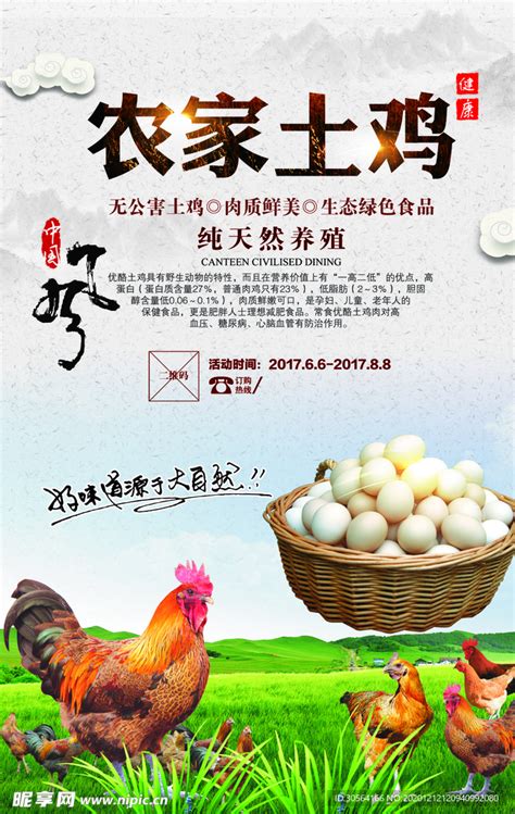 农家土鸡鸡蛋促销活动海报素材设计图 海报设计 广告设计 设计图库 昵图网