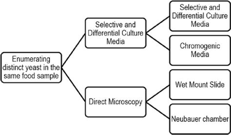 Methods Used For Enumeration And Differentiation Of Yeasts Present In Download Scientific
