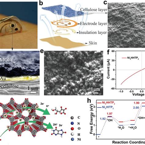 Design And Structure Of Cmof‐based Wearable Sweat Sensors A Download Scientific Diagram