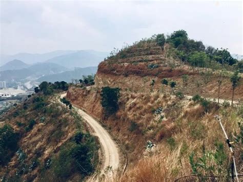抢先剧透！国家登山健身步道花城新区段5月底开放 攀枝花网