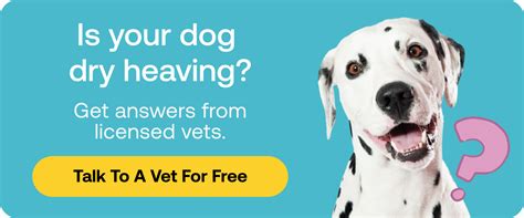 Why Does My Dog Dry Heave