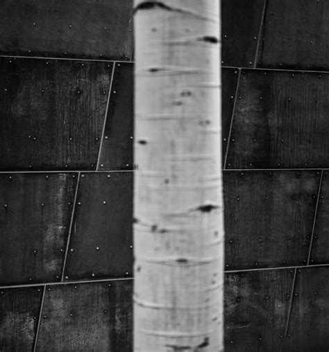 Winter Aspen Center For Physics