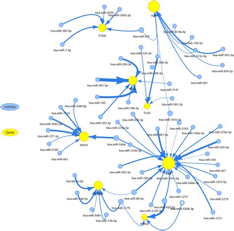 Multi Omics Analysis Reveals The Panoramic Picture Of Necroptosis