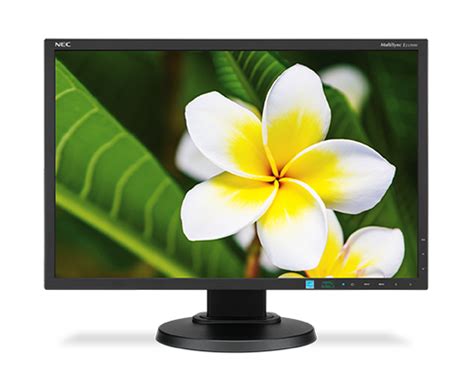 Workers Stay Healthy With NEC Display Daily