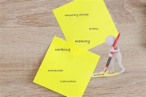 Working Memory A Brief Guide Potential Plus UK