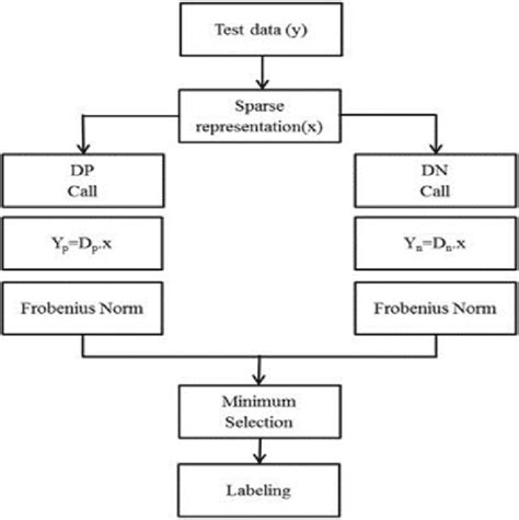 The Process Of Classification Download Scientific Diagram