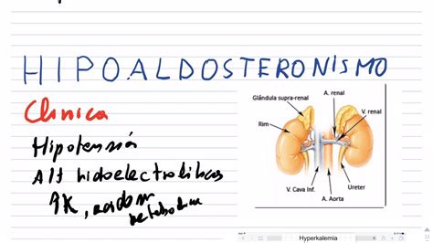 Hiperaldosteronismos E Hipoaldosteronismo Youtube