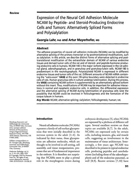 Pdf Expression Of The Neural Cell Adhesion Molecule Ncam By Peptide And Steroid Producing