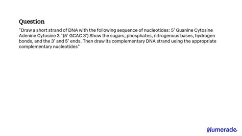 Solved Draw A Short Strand Of Dna With The Following Sequence Of