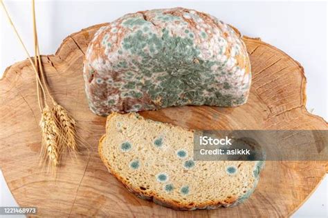 흰색 배경에 곰팡이 썩은 빵 음식 현대 생활 소비개념에 대한 부적절한 태도 음식 개념 사진을 낭비 곰팡이로 덮여 있습니다 빵에 대한 선택적 초점 개념에 대한 스톡 사진 및