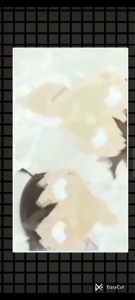 Detective Conan Edit Ran Shinichikudo Conan Detectiveconan
