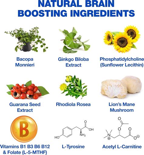 Brain Boost Nootropic Supplement For Memory Mood And Focus Lions Mane