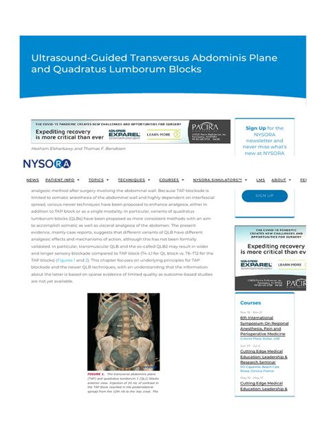 Ultrasound Guided Transversus Abdominis Plane And Quadratus Lumborum Blocks Nysora Pdf