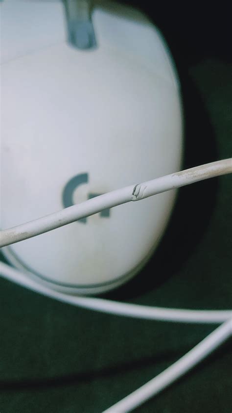 My Rabbit Ate My Logitech Mouse Cable And It Stopped Working Is It Repairable R Howto