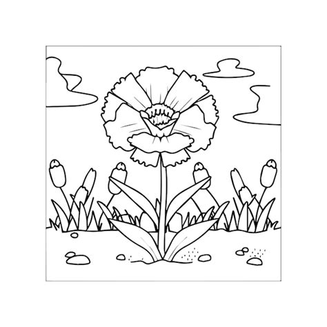 카네이션 꽃 컬러링 페이지 카네션 꽃 윤 터 프리미엄 벡터