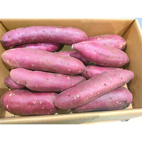 さつまいも 紅はるか 千葉県産 A級品 約45kg Lサイズ Beniharuka L うまいさかなどっとこむ 通販