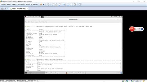Openstack 210 2 创建资源（create Resources） 命令行用wegt命令openstack Image