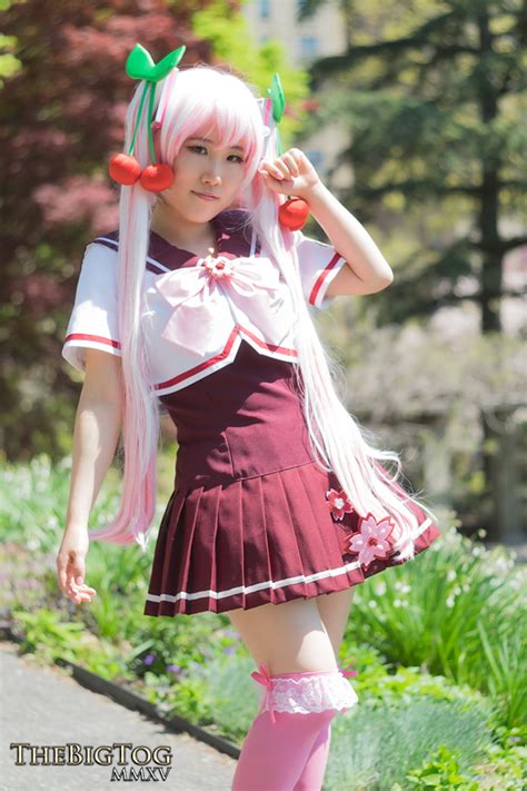 Sakura Miku Vocaloid Project Diva Cosaru Com