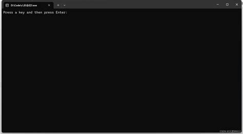 程序输入与变量赋值问题解析 Csdn博客