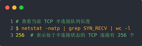 tcp 半连接队列和全连接队列满了会发生什么？又该如何应对？ 小林coding 博客园