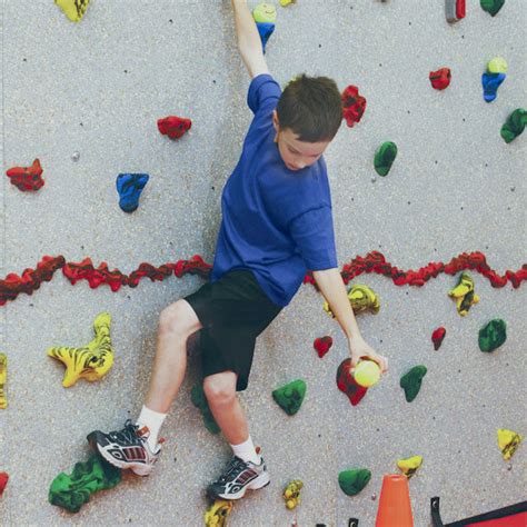 Ball Holder Hand Hold Everlast Climbing