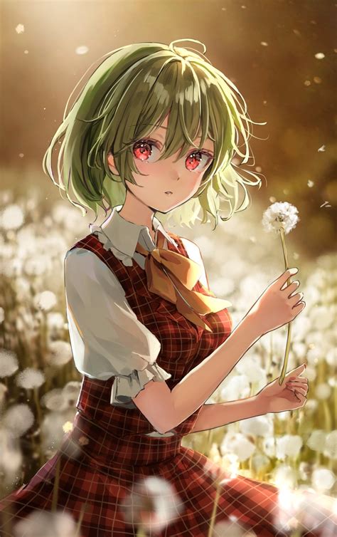 Kazami Yuuka Touhou Drawn By Shironekoyuuki Danbooru