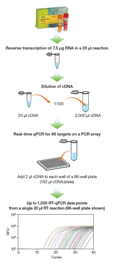 Rt Qpcr