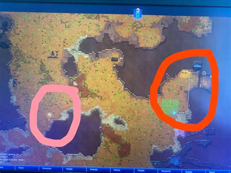 Anima Tree R Rimworld