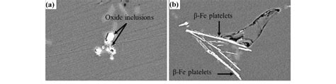 Impurities Of A Oxide Inclusions B B Fe Platelets Detected By Eds