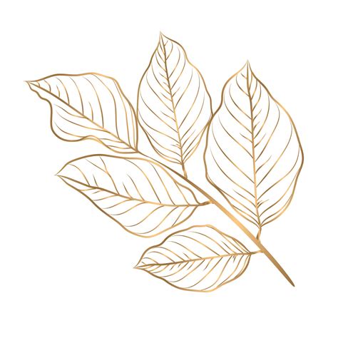 Vector Golden Leaf Stripes On White Background 16970404 Vector Art At