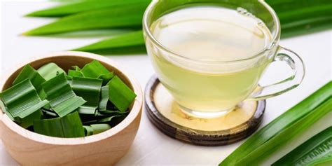 Manfaat Rebusan Daun Pandan Untuk Kesehatan Tubuh Info Kesehatan
