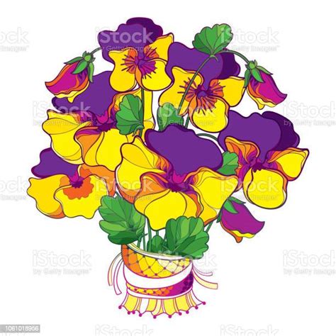 벡터 윤곽선 팬 지와 노란색 그리고 보라색과 화려한 흰색 배경에 고립 된 녹색 잎에 Heartsease 또는 비올라 3 색 꽃 꽃다발 0명에 대한 스톡 벡터 아트 및 기타