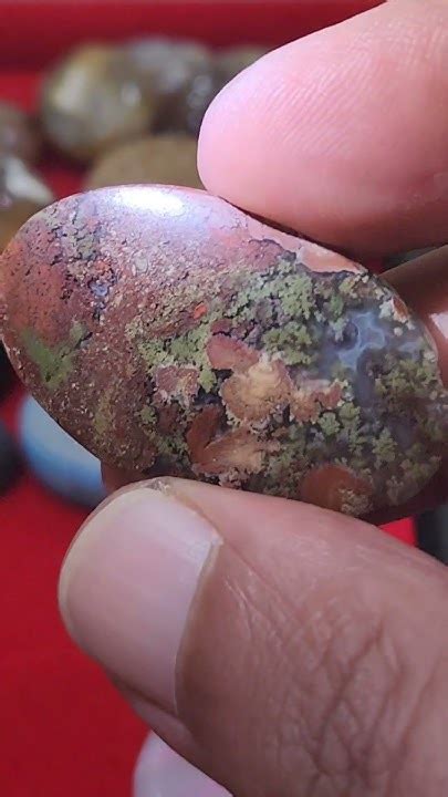 جاسبر مع عقيق 🥰 Youtube