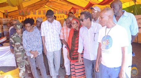 Exhibition In Connection With Fenkil Operation Commemoration Eritrea