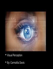 Visual Perception Short Presentation Pptx Visual Perception By