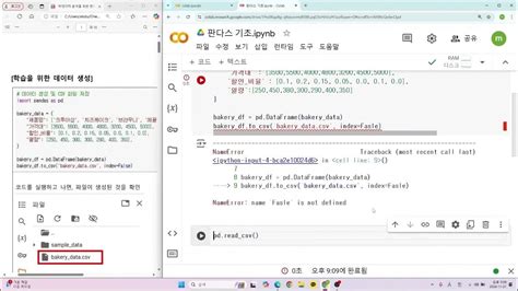 빅데이터 분석을 위한 판다스 기초 Youtube