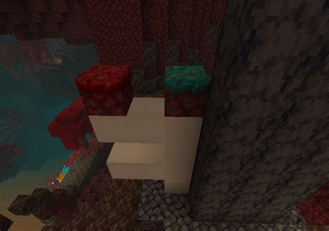 How To Turn Netherrack Into Nylium In Minecraft