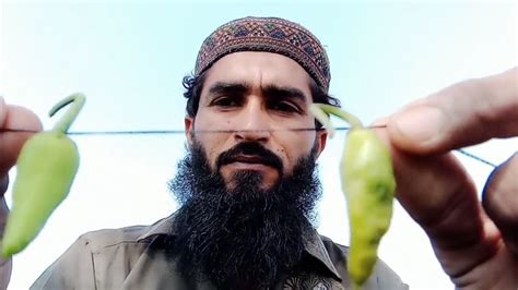 Mohabbat Ka Mirch Wala Amal🌶️ Youtube
