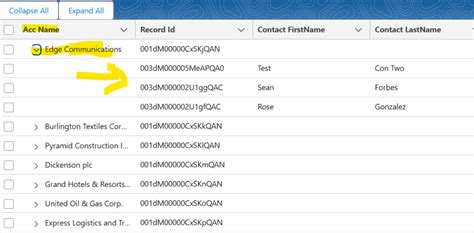 Sfdc Learn 13 Record Hierarchy Using Lightning Tree Grid In Lwc