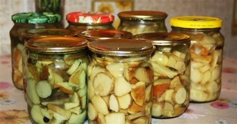 Маринованные белые грибы рецепт с фото пошаговый от Александр директор Овкусе Овкусе ру