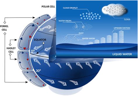 Frontiers Precipitation Forecasting From Geophysical Aspects To Machine Learning Applications
