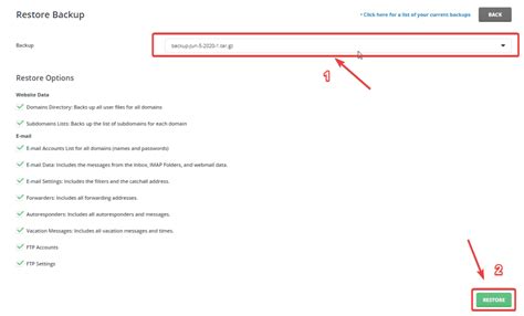 how to backup and restore data on directadmin