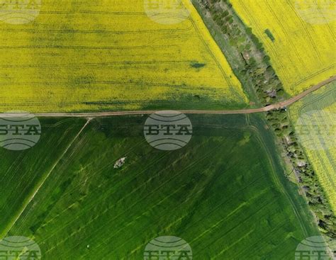 Българската асоциация на собствениците на земеделски земи публикува становище относно ключовите