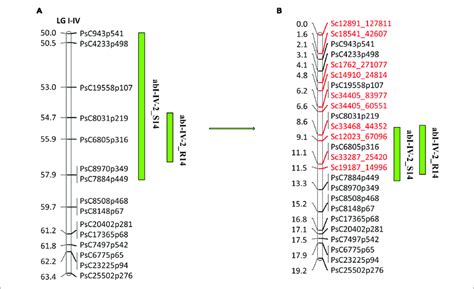 Quantitative Trait Locus Qtl Abi Iv 2 Based On Snp Linkage Map In
