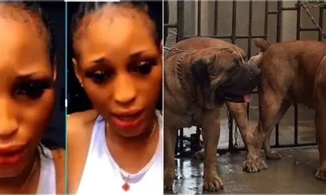 Lagos Lady Slept With Dog For N17m Dies Of Infection News Invasion 24