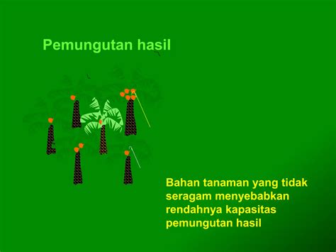 Tekhnik Pembibitan Pohon Kelapa Sawit Ppt
